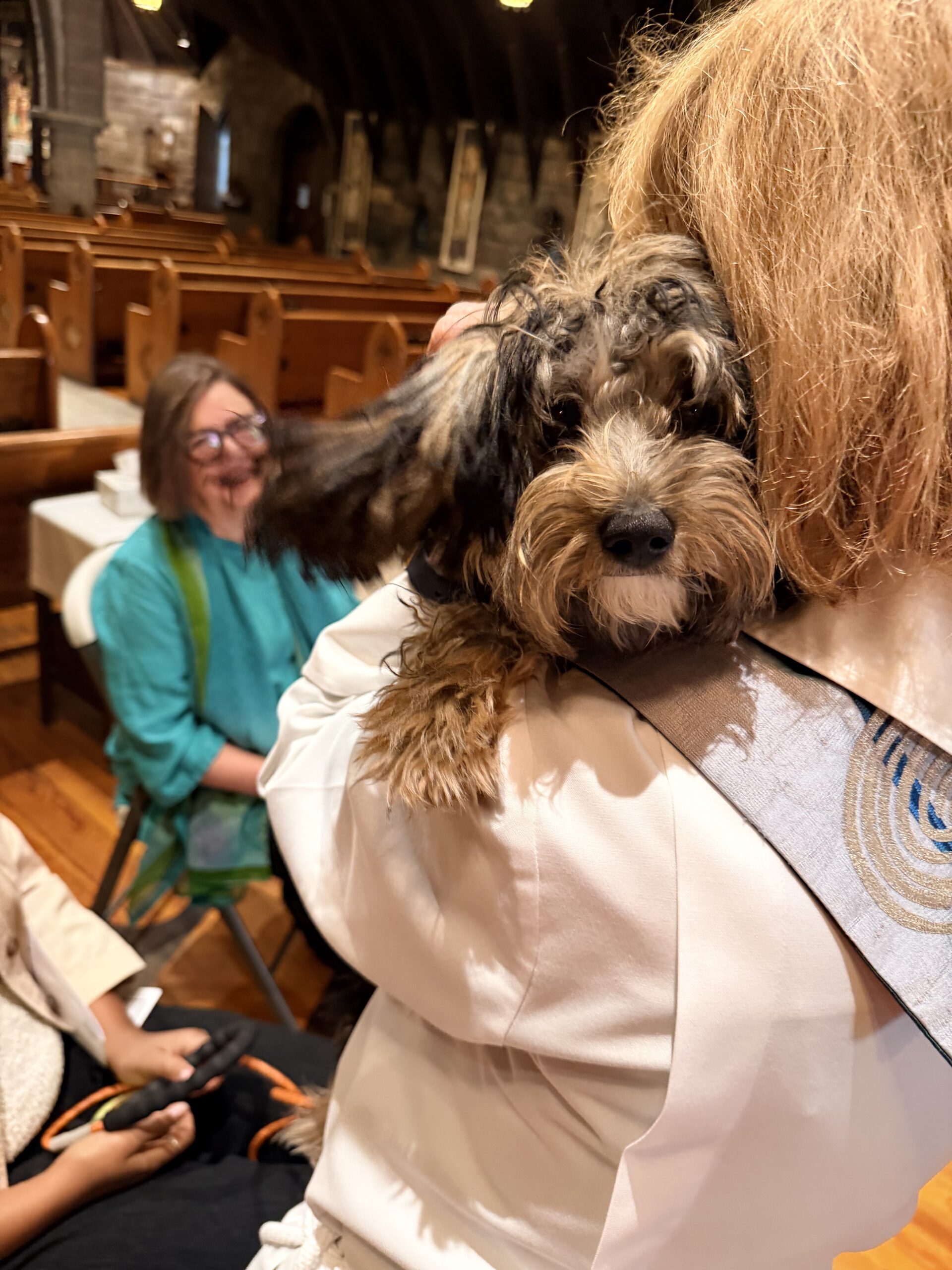 Blessing of the Animals Photos - Christ Episcopal Church